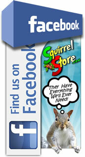 squirrel store